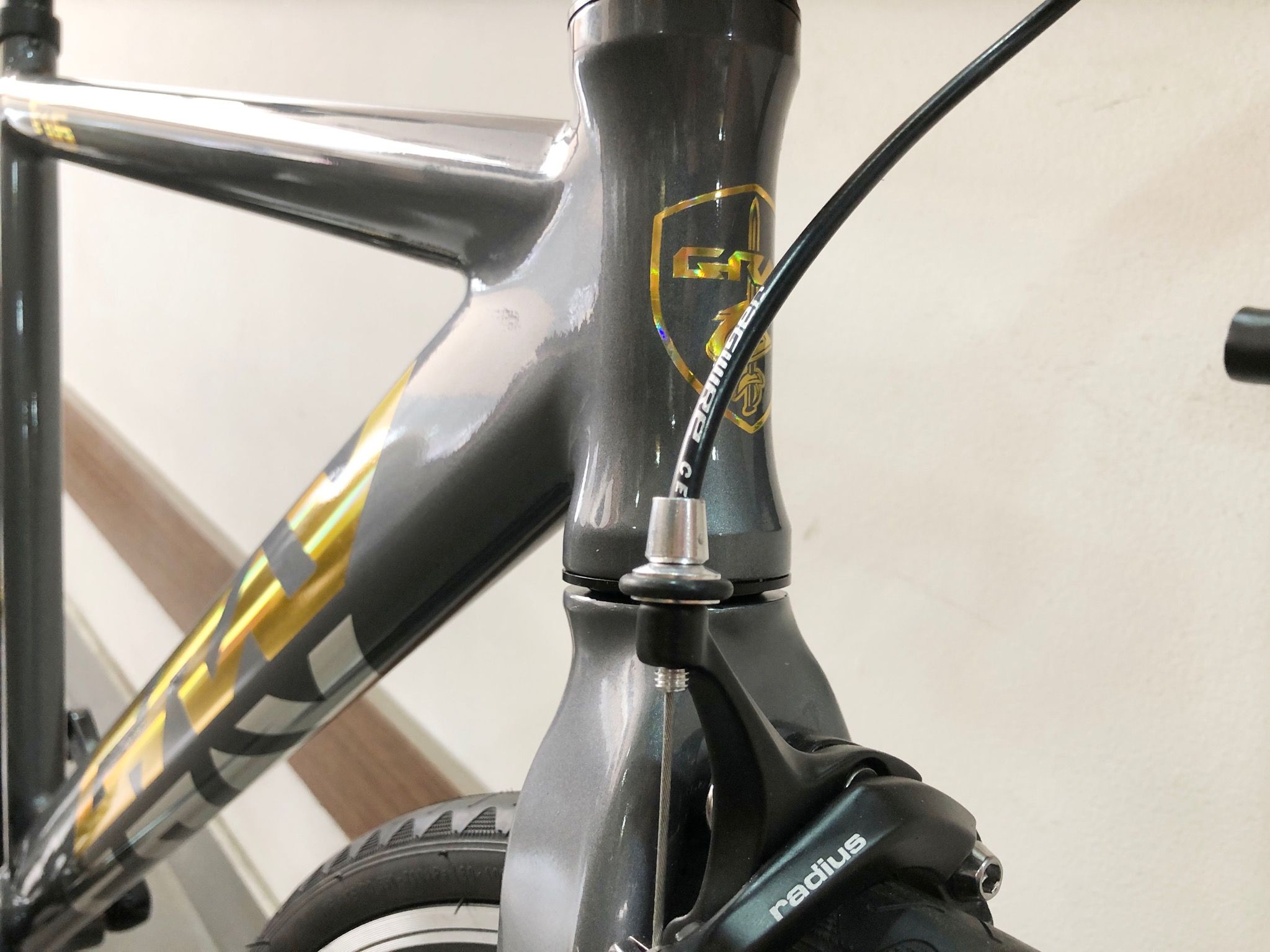 XE ĐẠP FIXED GEAR - GRAY F16 (CÓ THẮNG PHỤ) – Xe đạp Trực tuyến