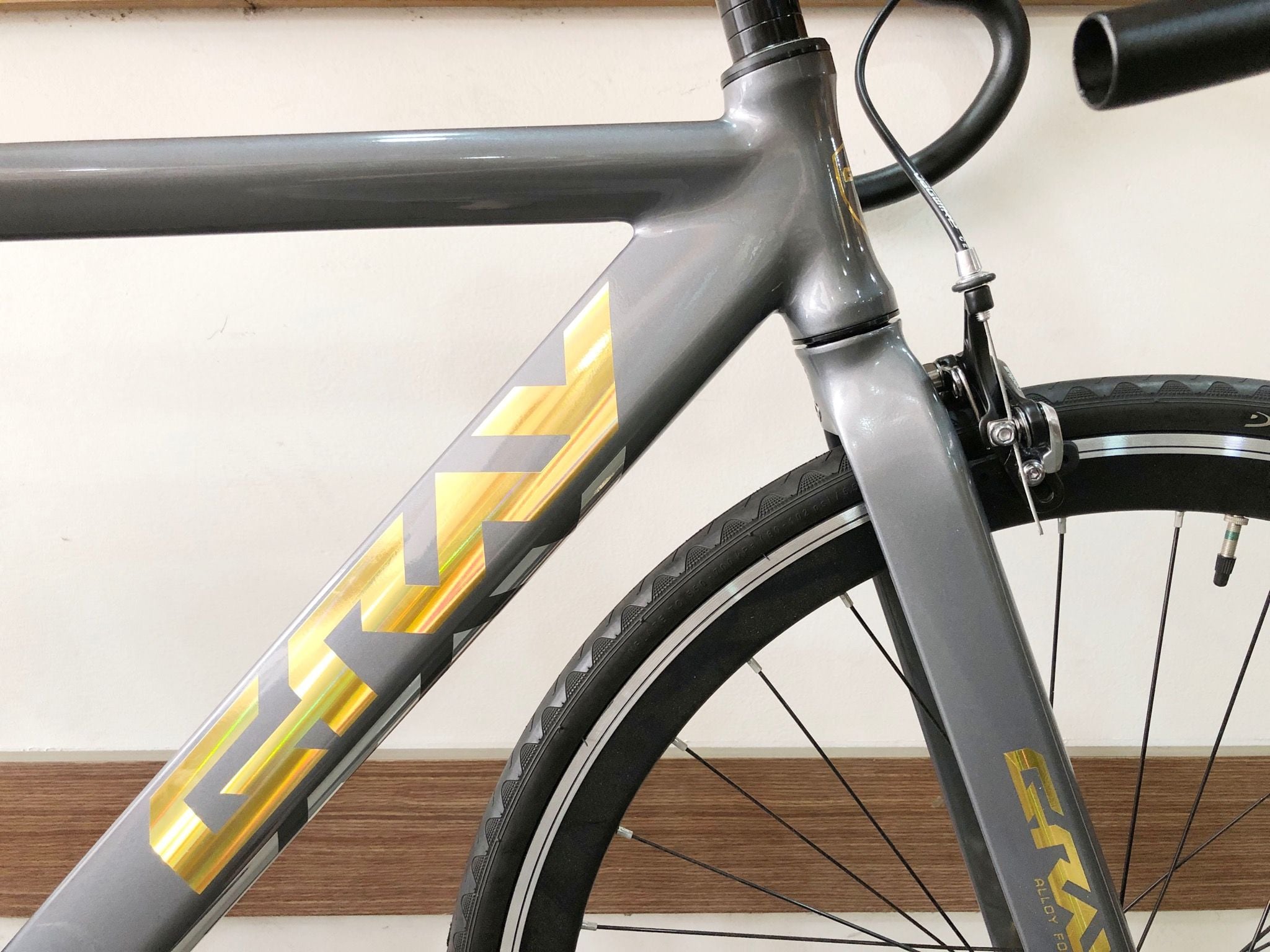 XE ĐẠP FIXED GEAR - GRAY F16 (CÓ THẮNG PHỤ) – Xe đạp Trực tuyến