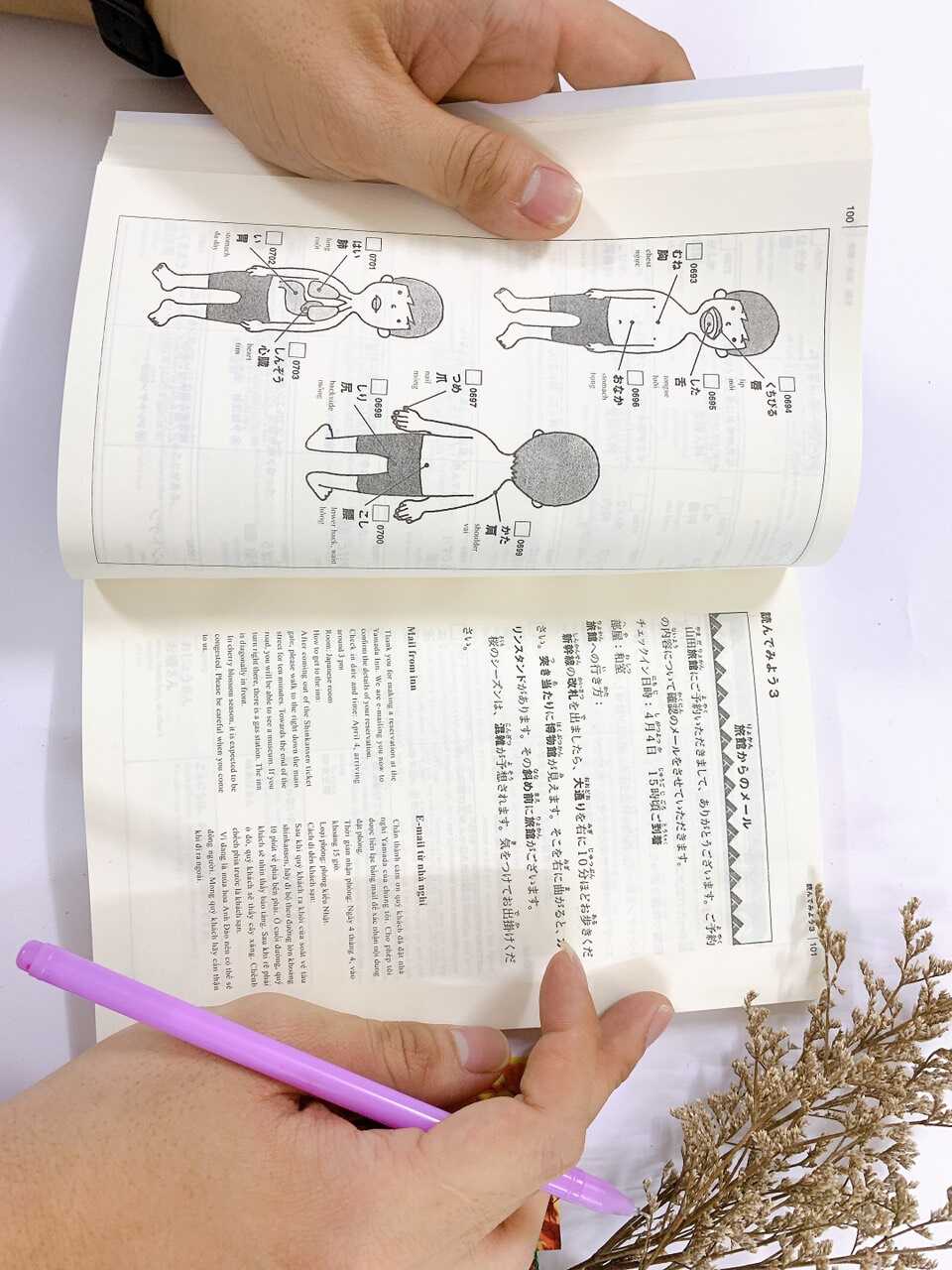 Shinkanzen masuta N3 Tango 1800 - 1800 Từ vựng N3 – Sách 100