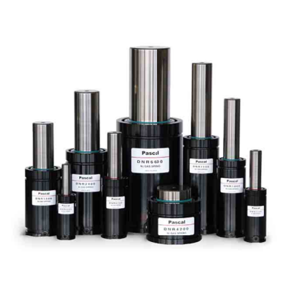 PASCAL-DNR – AZCOM