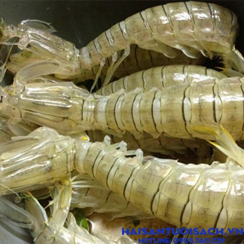 Tôm tít - Sống (Size 4 - 6 con/kg)
