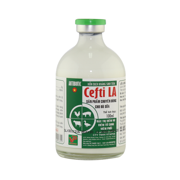 Cefti LA Bò sữa – Thuốc Thú Y Việt Nam