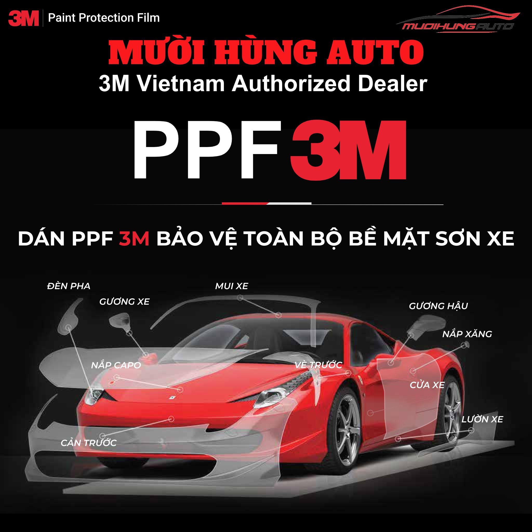 Dán PPF 3M Ô Tô 7 Chỗ - Mười Hùng Auto