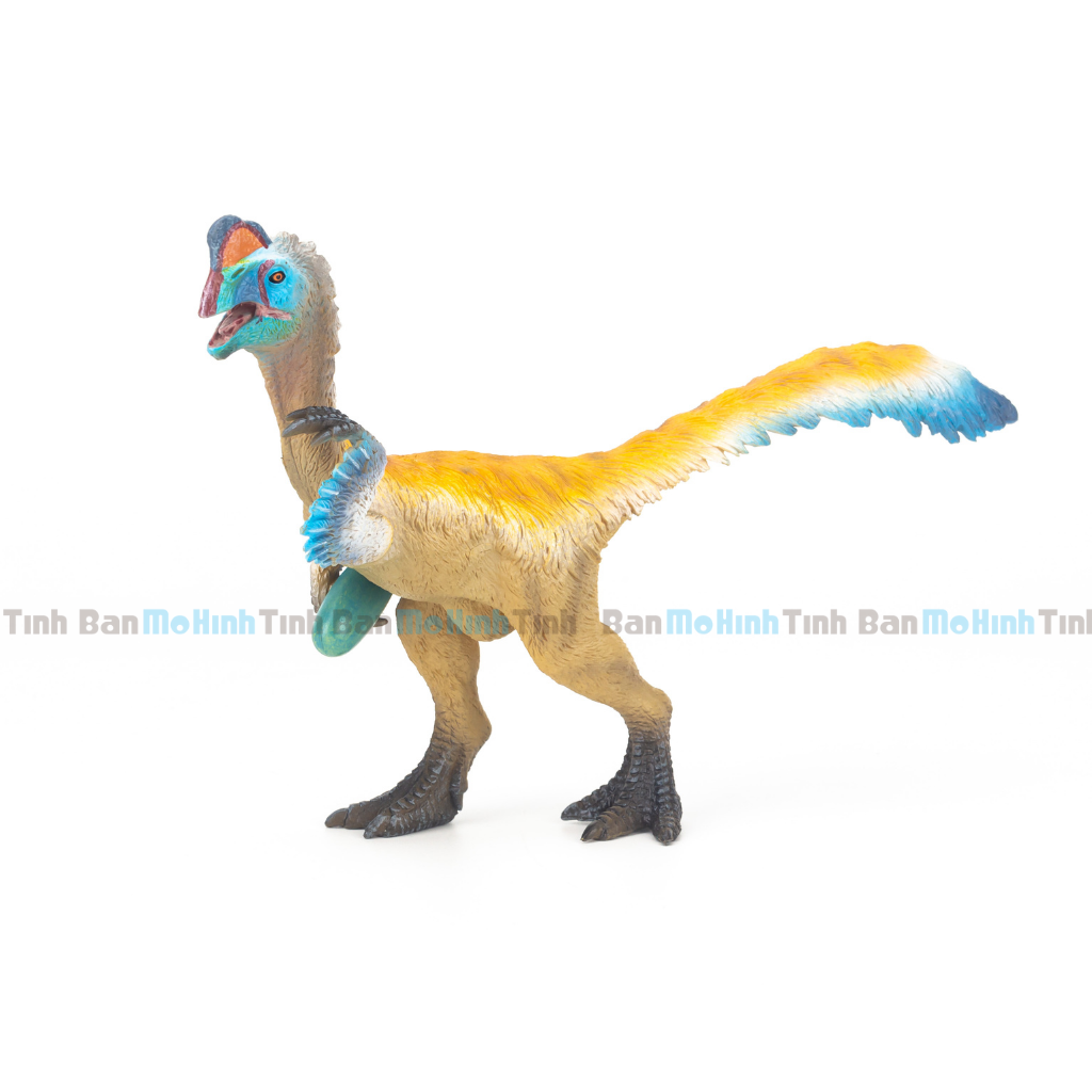 Mô hình khủng long Oviraptor 1:10 - TNG – banmohinhtinh.com
