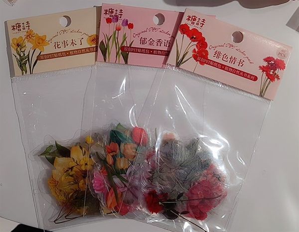 Hoa Nhiệt Đới Stickers – Colormate Art & Craft