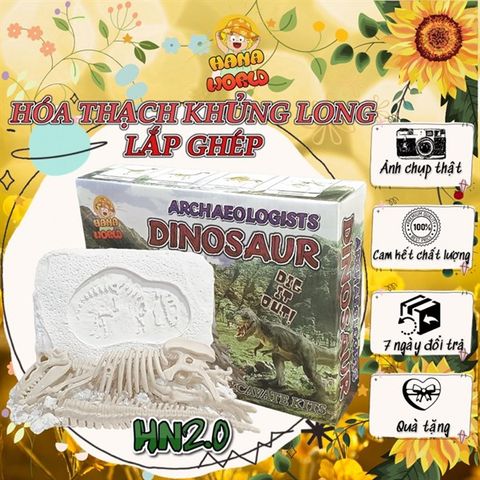 KHỦNG LONG LẮP GHÉP 2 (KHÔNG HỘP) – Colormate Art & Craft