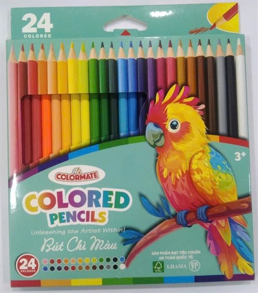 Hộp giấy 24 cây chì thân màu – Colormate Art & Craft