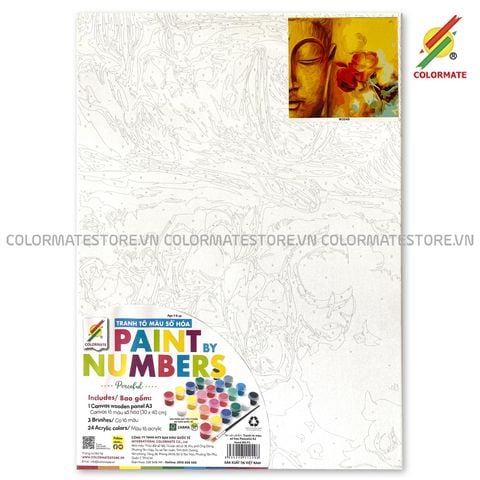 TRANH SỐ HÓA – Colormate Art & Craft