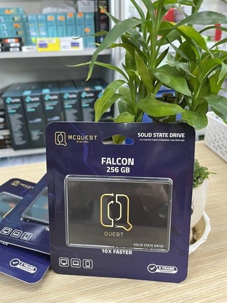 SSD FALCON 2.5" 256GB