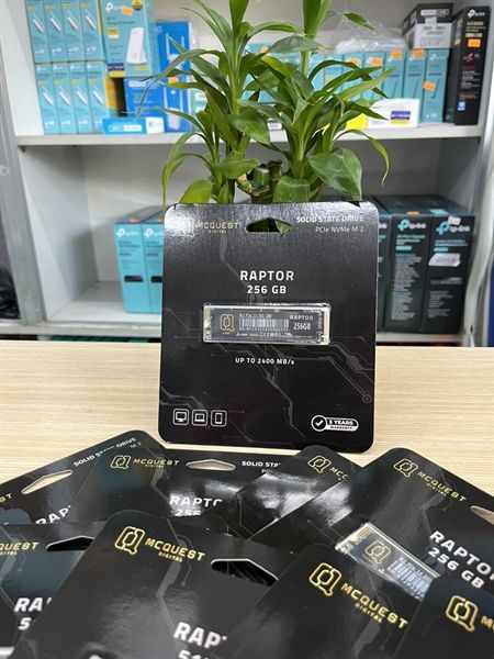 SSD RAPTOR M.2 NVME 3.0 256GB