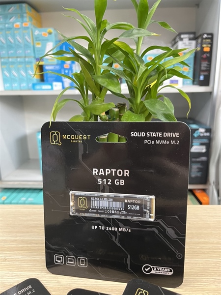 SSD RAPTOR M.2 NVME 3.0 512GB