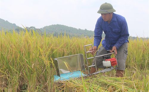 MÁY GẶT LÚA CẦM TAY GIA ĐÌNH – Thiết bị chăn nuôi HT