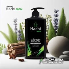 Hachi - Hachi Việt Nam