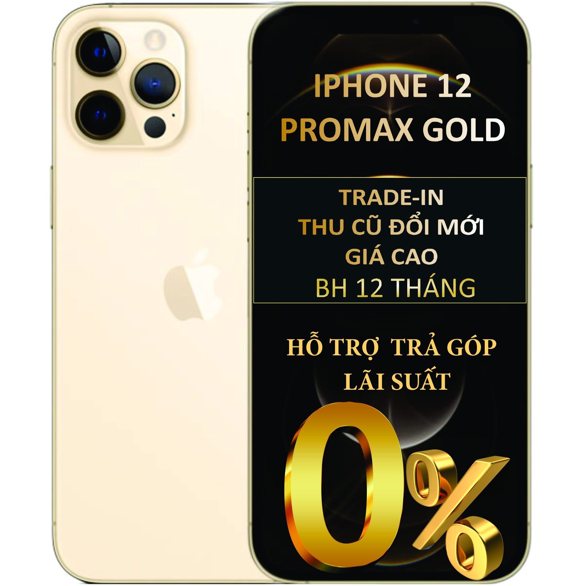 Iphone 12 Promax ( Gold )