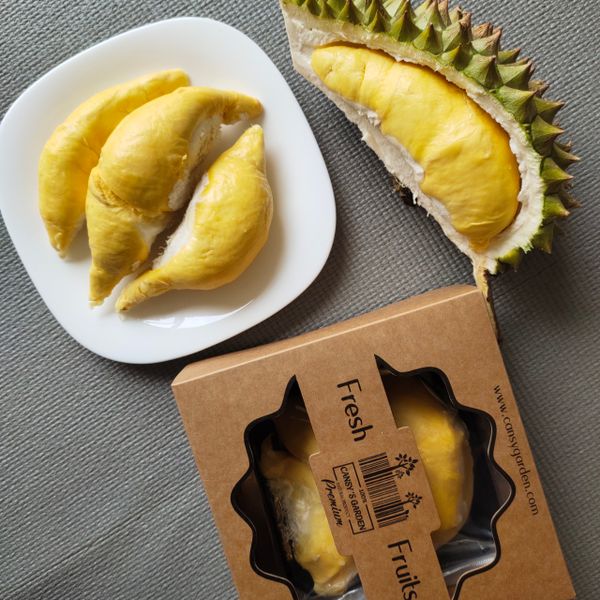 Sầu Riêng Ri6 - Durian – Cansy's Garden