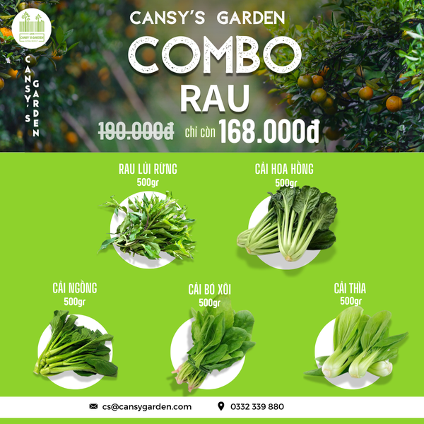 COMBO 5 Rau Ăn Lá – Cansy's Garden
