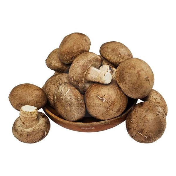 Nấm Đông Cô – Cansy's Garden