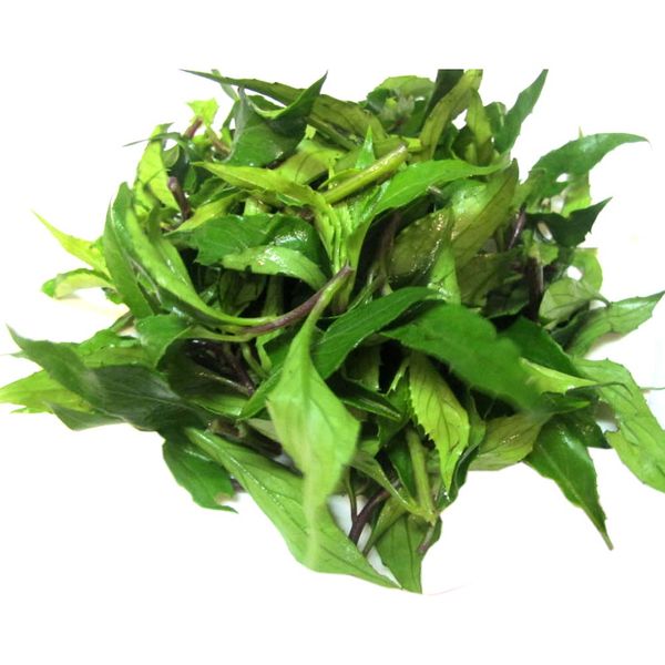 Rau lũi rừng – Cansy's Garden