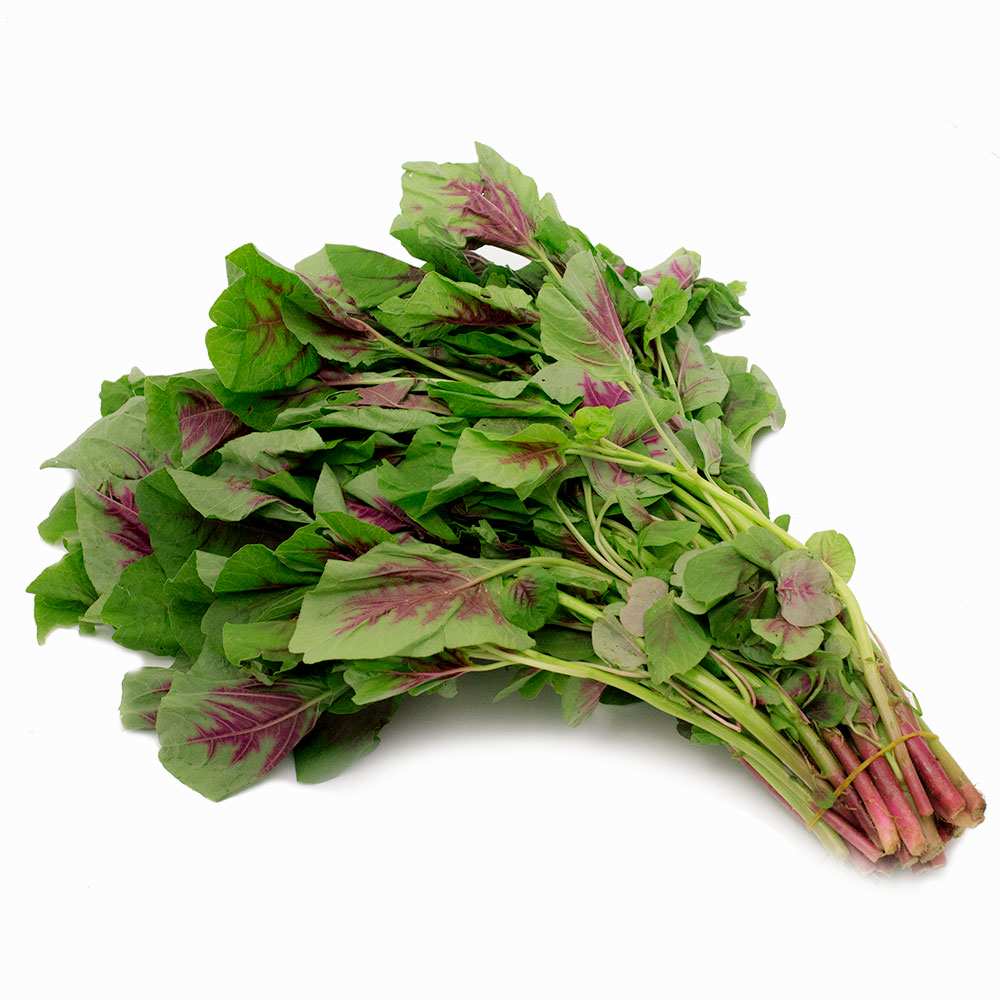 Rau dền – Cansy's Garden