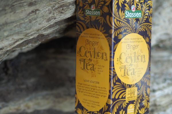 Stassen Ginger Ceylon Tea - Trà Đen Túi Lọc Hương Gừng – Bách Hóa 1968