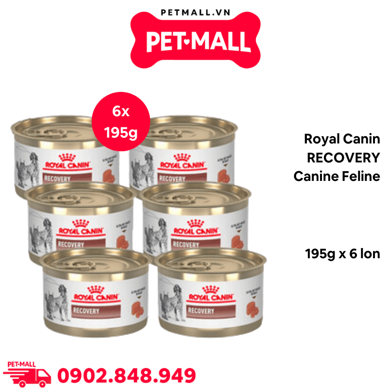 Combo Pate Royal Canin RECOVERY Canine Feline 195g - 6 lon - Thức ăn p – Petmall.vn – Dịch Vụ ...