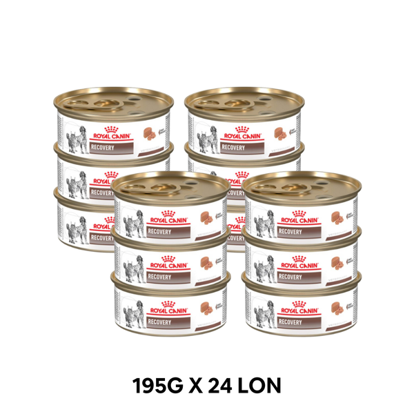 Combo Royal Canin RECOVERY Canine Feline 195g - 24 lon - Thức ăn phục – Petmall.vn – Dịch Vụ Tốt ...