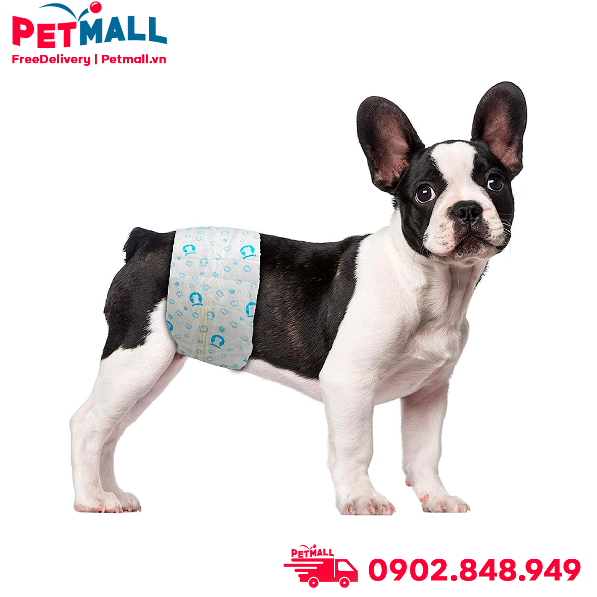 Tã cho chó đực Sentee Disposable Male Dog Diapers Size L | 45-60cm - 1 ...