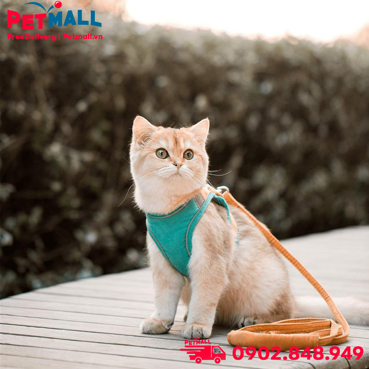 Set yếm + dây dắt thú cưng SONICE Pastel Petmall - Petmall.vn – Dịch Vụ ...