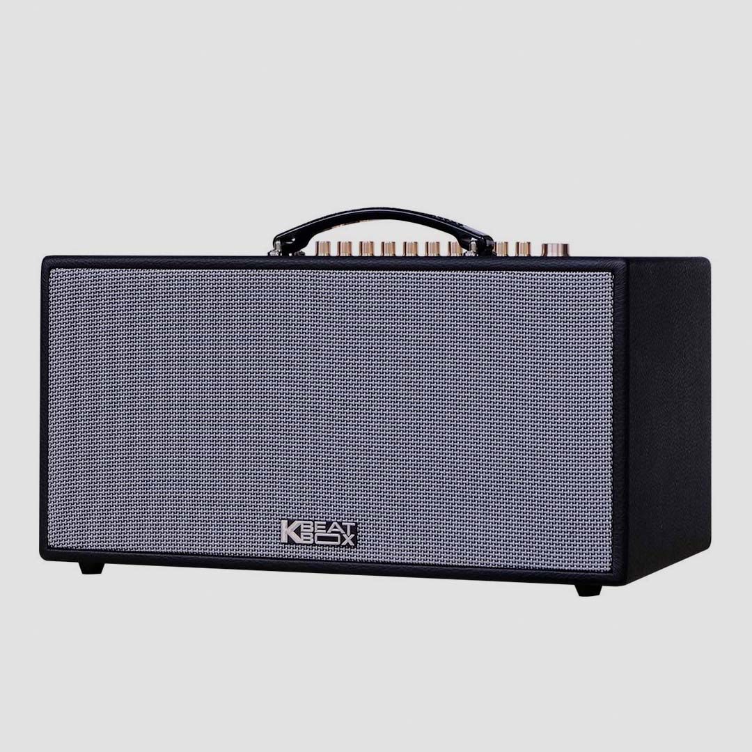 Loa Karaoke Xách Tay Acnos CS251PU - Pustudio.vn