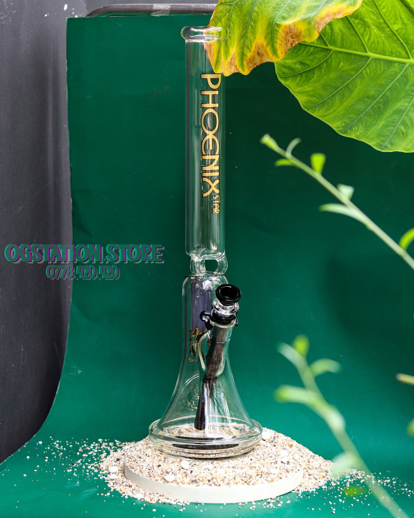 Bongs basic phoenix 2023 - OG STATION – OG Store - Stoner Station
