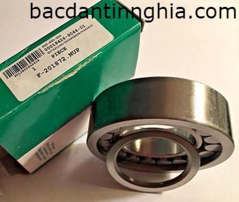 Bạc đạn vòng bi đũa F-201872 NUP INA. 45*85*25mm – Bạc đạn Tín Nghĩa