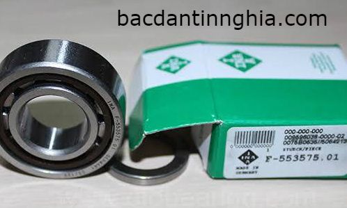 Bạc đạn vòng bi F-553575.01.NUP INA – Bạc đạn Tín Nghĩa