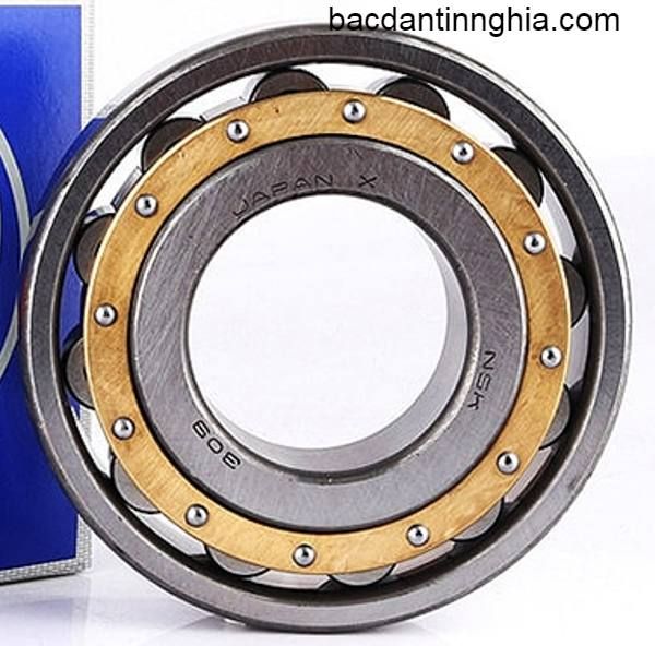 Bạc đạn vòng bi N309 NSK N 309 – Bạc đạn Tín Nghĩa