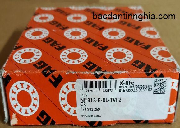 Bạc đạn vòng bi NF313-E-XL-TVP FAG – Bạc đạn Tín Nghĩa