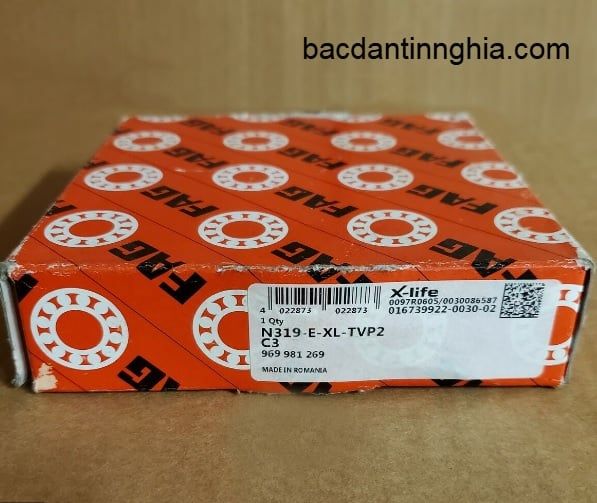 Bạc đạn vòng bi N319 FAG 95x200x45 – Bạc đạn Tín Nghĩa