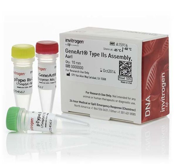 GeneArt™ Type IIs Assembly Kit, Aar I – SKN Trading Laos