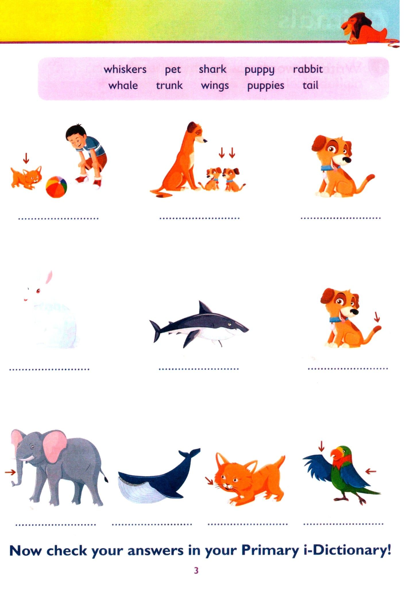 Primary i Dictionary 2 work book – nhasachthanhdung