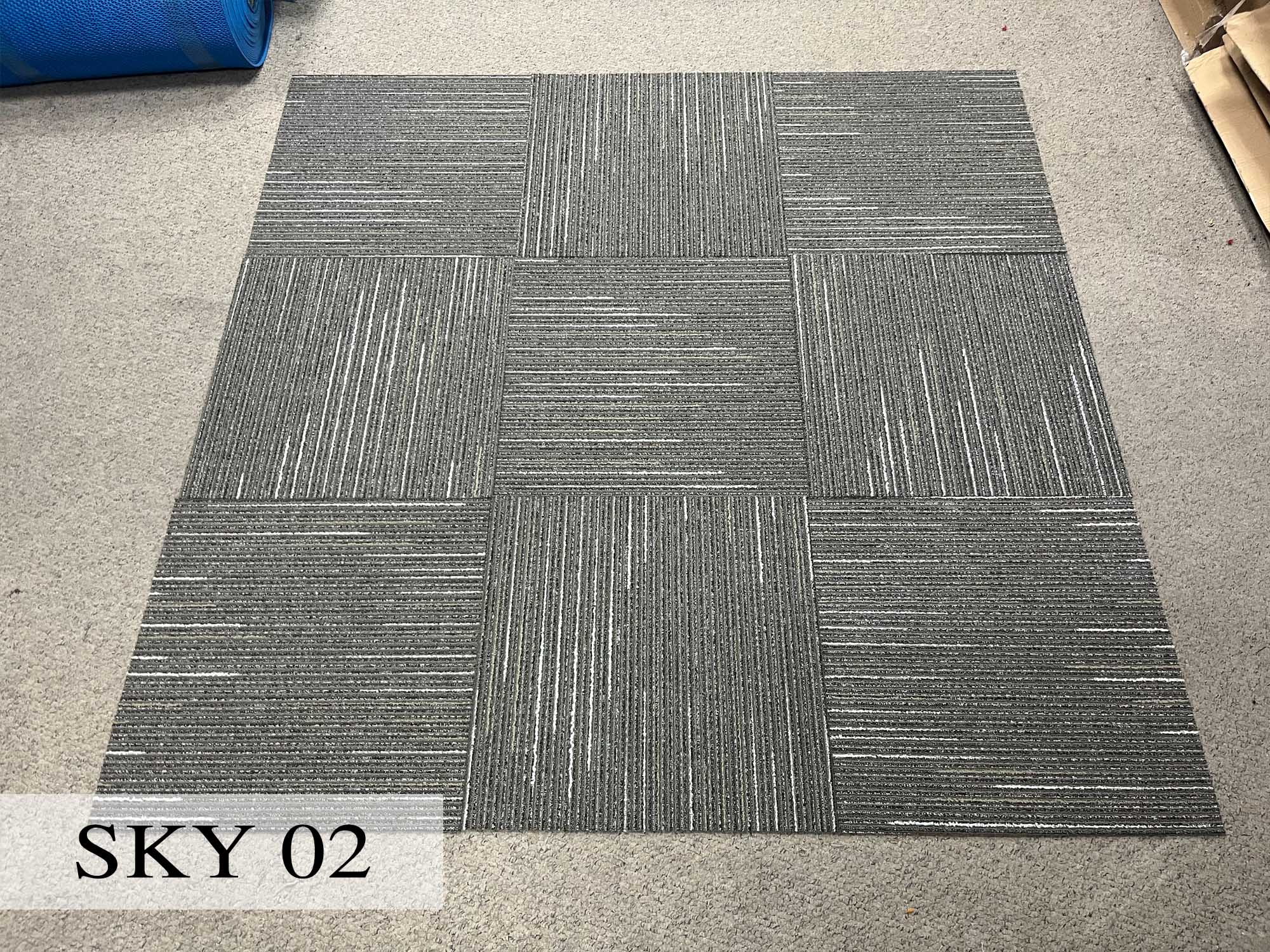 MÀU SẮC ĐỘC ĐÁO - LẮP ĐẶT TRỌN GÓI GIÁ RẺ THẢM SKY 02