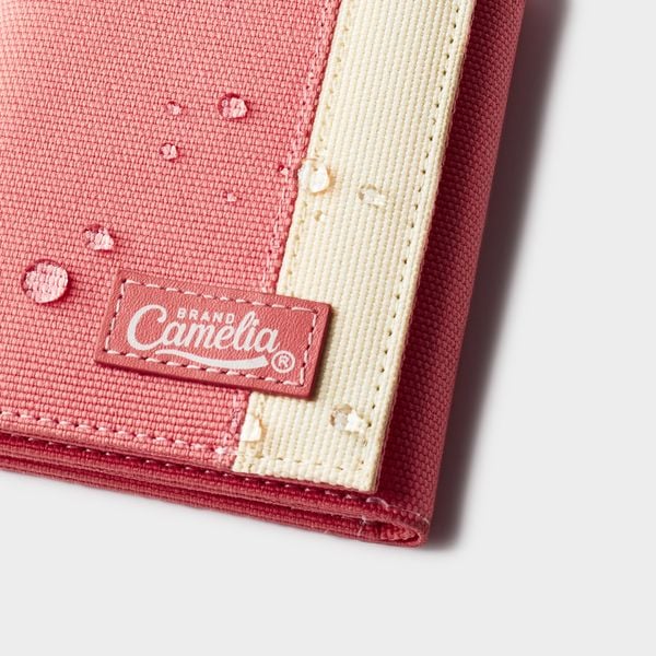 Camelia Brand - More than Simplicity