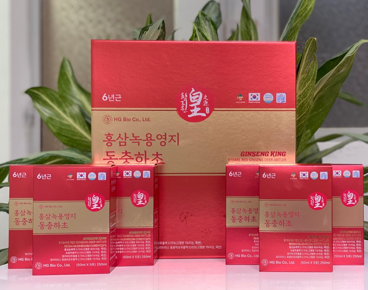 Nước Chiết Xuất Hồng Sâm Nhung Hươu Linh Chi Đông Trùng Hạ Thảo HG Bio ...