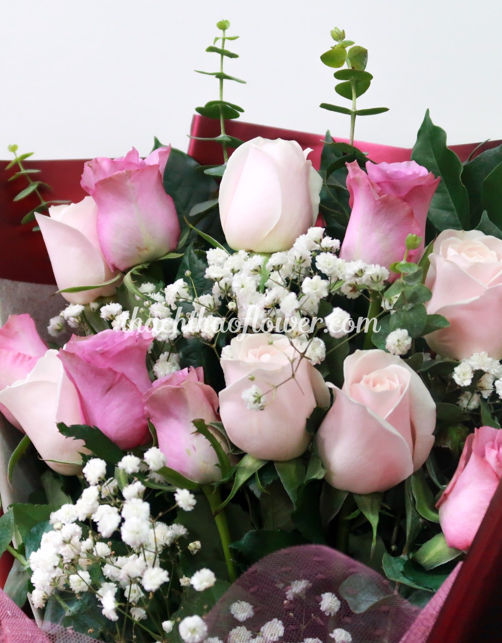 B074 – Hoa Tươi Thạch Thảo