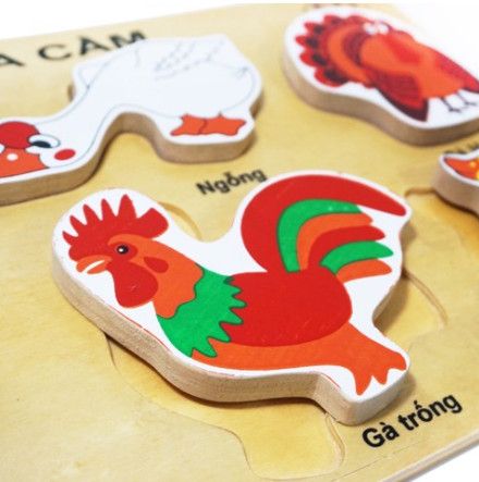 Geometric Identification Toys – Công ty TNHH SD