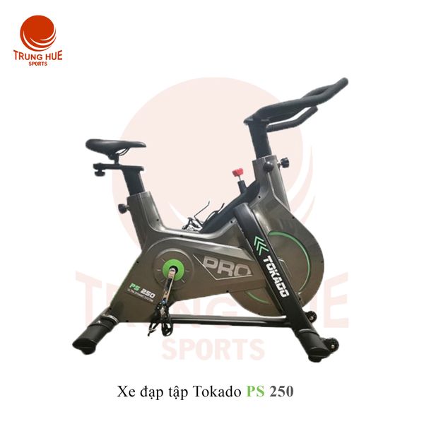 Xe đạp tập Tokado PS 250 – Đăng Quang Sports
