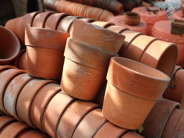 Chậu đất nung trồng cây, sen đá, tiểu cảnh – vuonnhagom.vn