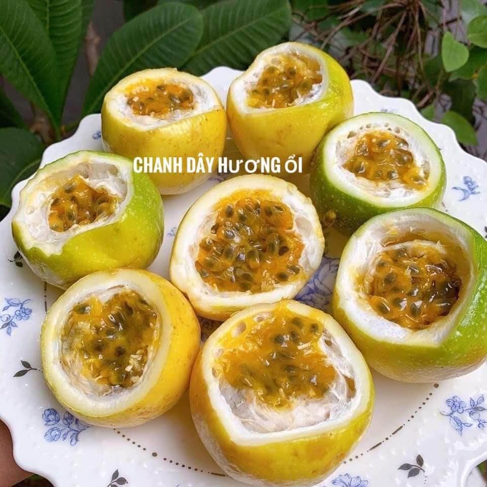Chanh dây hoàng kim (chanh dây hương ổi) – Ăn vặt Zupy