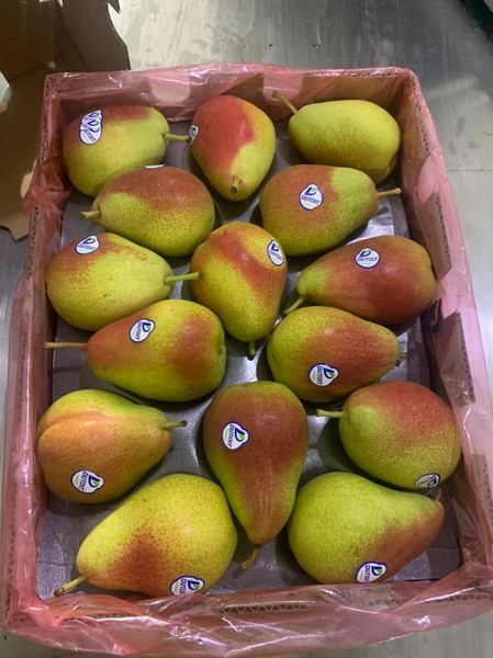 Lê Nam Phi – Ăn vặt Zupy