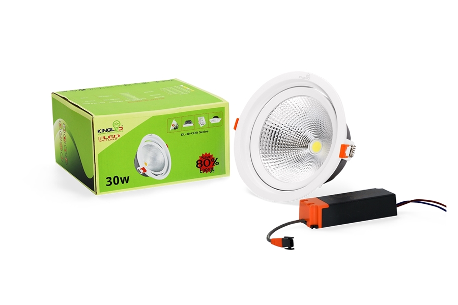 ĐÈN LED SPOTLIGHT TRÒN 30W (DLR-30-T180)