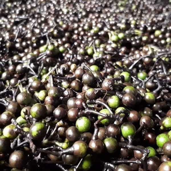 Leilu Salt (Mang Tang or Son Ke Salt) – Tropical Trekking