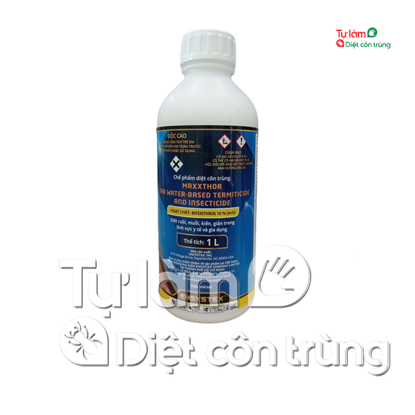 Chế phẩm diệt côn trùng Maxxthor 100 water-based termiticide and insec ...