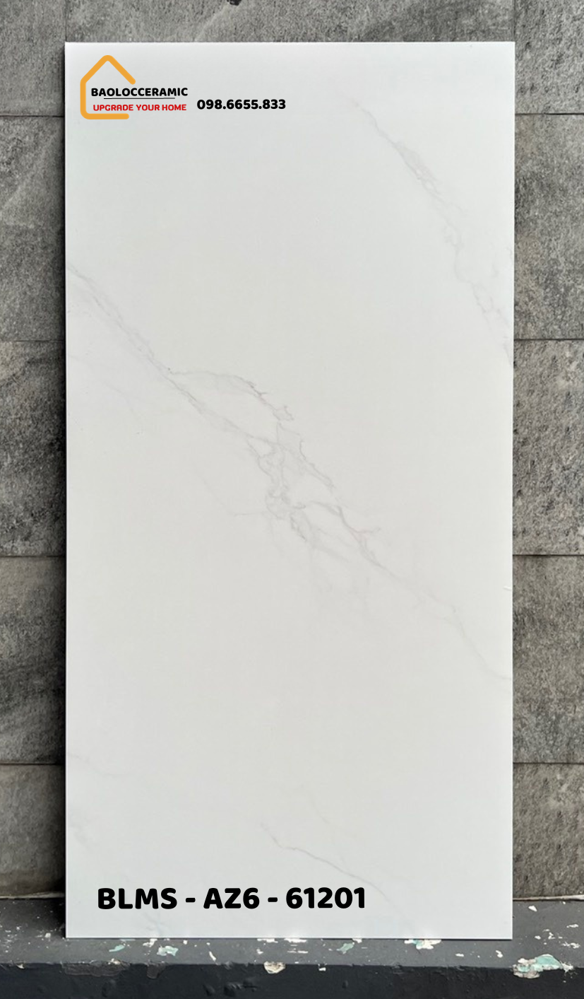 Gạch 80x80 Đồng chất Men Matt - BLMS 1 - 8802 – baoloc ceramic